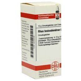 DHU-Arzneimittel Rhus Toxicodendron C 4 Globuli 10 g