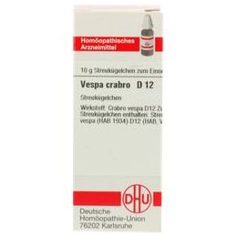 DHU-Arzneimittel Vespa Crabro D 12 Globuli 10 g