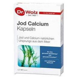 Dr. Wolz Zell GmbH JOD Calcium Kapseln Dr.Wolz 60 St