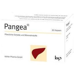 Köhler Pharma Pangea Kapseln 60 St
