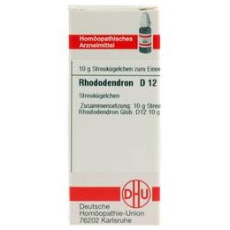 DHU-Arzneimittel Rhododendron D 12 Globuli 10 g