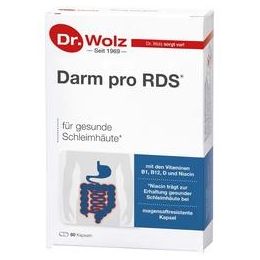 Dr. Wolz Zell GmbH Darm PRO RDS magensaftresistente Kapseln 60 St