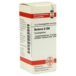 DHU-Arzneimittel Berberis D 200 Globuli 10 g