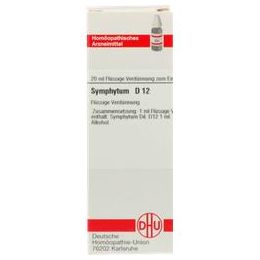 DHU-Arzneimittel Symphytum D 12 Dilution 20 ml