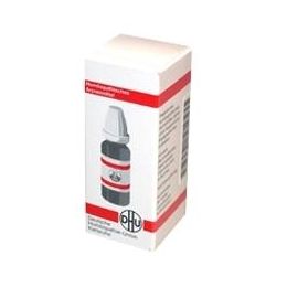 DHU-Arzneimittel Bismutum Subnitricum D 12 Globuli 10 g