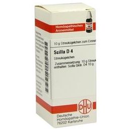 DHU-Arzneimittel Scilla D 4 Globuli 10 g