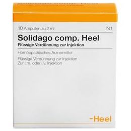 Solidago COMP.Heel Ampullen 10 St