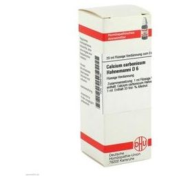 DHU-Arzneimittel Calcium Carbonicum Hahnemanni D 6 Dilution 20 ml