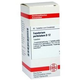 DHU-Arzneimittel Eupatorium Perfoliatum D 12 Tabletten 80 St