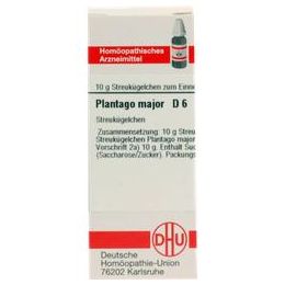 DHU-Arzneimittel Plantago Major D 6 Globuli 10 g