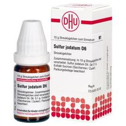 DHU-Arzneimittel Sulfur Jodatum D 6 Globuli 10 g