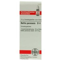 DHU-Arzneimittel Bellis Perennis D 4 Globuli 10 g