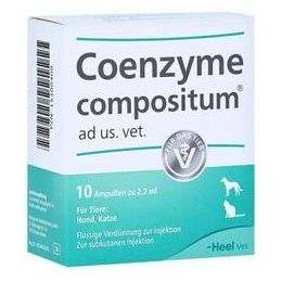 Heel Coenzyme Compositum ad us.vet.Ampullen 10 St