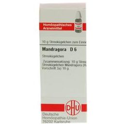 DHU-Arzneimittel Mandragora D 6 Globuli 10 g