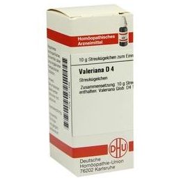 DHU-Arzneimittel Valeriana D 4 Globuli 10 g