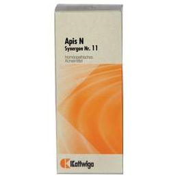 Kattwiga Synergon Komplex 11 Apis N Tropfen 50 ml