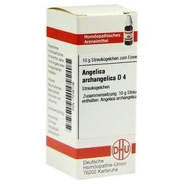 DHU-Arzneimittel Angelica Archangelica D 4 Globuli 10 g