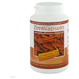 vitaworld Zimt 500 mg+Zink+Chrom Kapseln 100 St