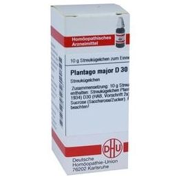 DHU-Arzneimittel Plantago Major D 30 Globuli 10 g