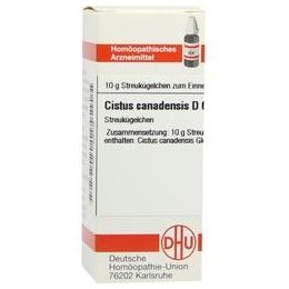 DHU-Arzneimittel Cistus Canadensis D 6 Globuli 10 g