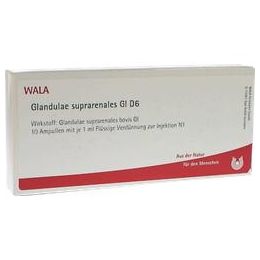 Dr. Hauschka Glandulae Suprarenales GL D 6 Ampullen 10X1 ml