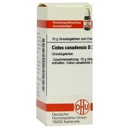DHU-Arzneimittel Cistus Canadensis D 30 Globuli 10 g
