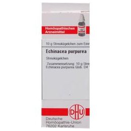 DHU-Arzneimittel Echinacea Purpurea D 4 Globuli 10 g