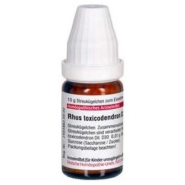 DHU-Arzneimittel Rhus Toxicodendron D 30 Globuli 10 g