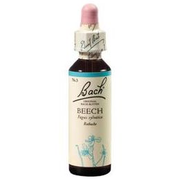 Bachblüten Beech Tropfen 20 ml