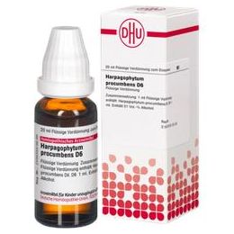 DHU-Arzneimittel Harpagophytum Procumbens D 6 Dilution 20 ml