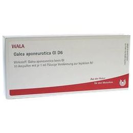 Dr. Hauschka Galea aponeurotica GL D 6 Ampullen 10X1 ml