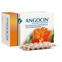 Angocin Anti Infekt N Filmtabletten 500 St