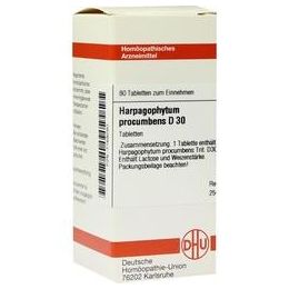 DHU-Arzneimittel Harpagophytum Procumbens D 30 Tabletten 80 St