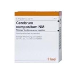 Heel Cerebrum Compositum NM Ampullen 10 St