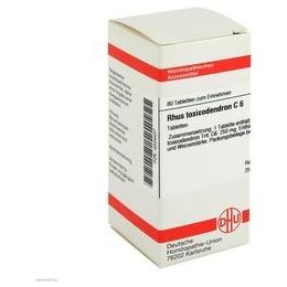 DHU-Arzneimittel Rhus Toxicodendron C 6 Tabletten 80 St