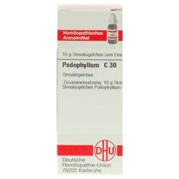 DHU-Arzneimittel Podophyllum C 30 Globuli 10 g