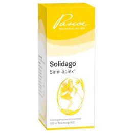 Pascoe Solidago Similiaplex Tropfen 100 ml