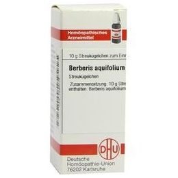 DHU-Arzneimittel Berberis Aquifolium D 4 Globuli 10 g