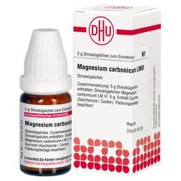DHU-Arzneimittel Magnesium Carbonicum LM VI Globuli 5 g