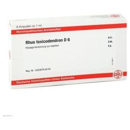 DHU-Arzneimittel Rhus Toxicodendron D 6 Ampullen 8X1 ml