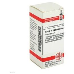 DHU-Arzneimittel Rhus Toxicodendron C 1000 Globuli 10 g