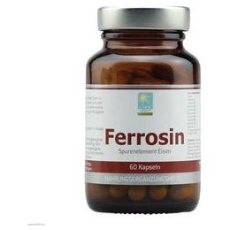 Apozen Ferrosin Eisen 14 mg Kapseln 60 St
