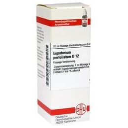 DHU-Arzneimittel Eupatorium Perfoliatum D 12 Dilution 20 ml