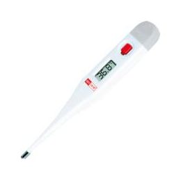 WEPA Aponorm Fieberthermometer basic 1 St