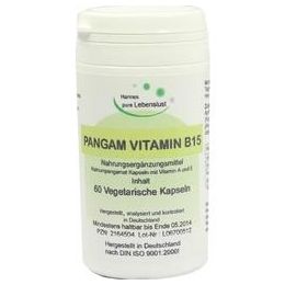 Pangam Vitamin B15 Kapseln 60 St