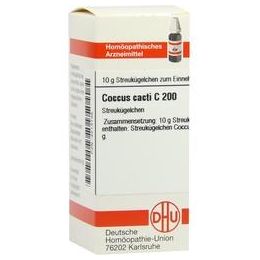 DHU-Arzneimittel Coccus cacti C 200 Globuli 10 g