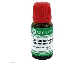 ARCANA Calcium Carbonicum Hahnemanni LM 30 Dilution 10 ml