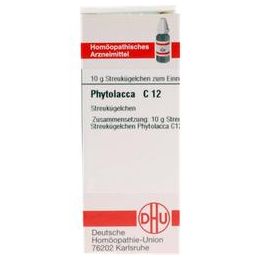 DHU-Arzneimittel Phytolacca C 12 Globuli 10 g