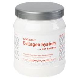 Amitamin Collagen System Pulver 360 g