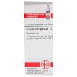 DHU-Arzneimittel Lycopus Virginicus D 12 Globuli 10 g